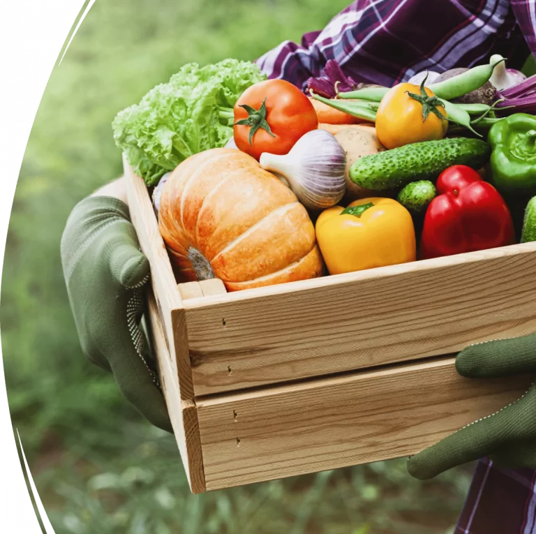 ERP System für Lebensmittel - pB Consult GmbH